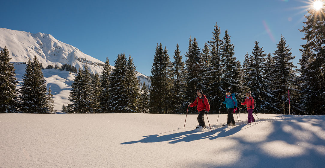 Gemeinde Habkern - Berneroberland Schweiz